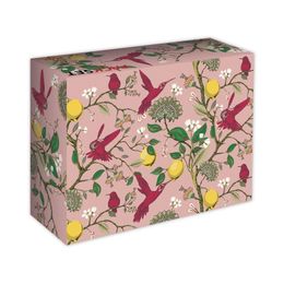 PACKSET M "Kolibris" - Sonderedition Fr&uuml;hling 2026