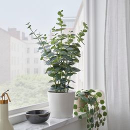 IKEA FEJKA Topfpflanze, k&uuml;nstlich