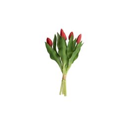 M&ouml;bel Kraft Tulpenbund 5fach rot Kunststoff,Metall Ma&szlig;e (cm): H: 32 &raquo; M&ouml;bel Kraft