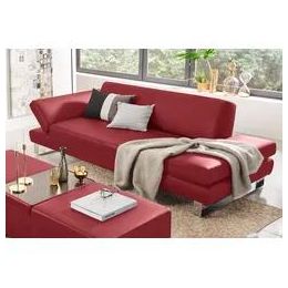 2-Sitzer W.Schillig "taboo Designsofa mit hohem Sitzkomfort", rot (ruby rot z59), B:202cm H:76cm T:91cm, Flachgewebe S22 (100% Polyester);Stoff S37 (100% Polyester): Luxus-Microfaser in Lederoptik;Longlife Xtra-Leder Z59: Glattleder mit modischer Pr&auml;gung. Hautst&auml;rke 0, 9 - 1, 1 mm;Longlife Xtra-Leder Z69: Das feinnarbige, gedeckte Softleder Z69 besticht durch seine au&szlig;ergew&ouml;hnliche Weichheit im tr