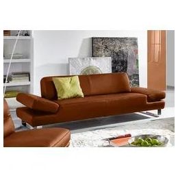 2-Sitzer W.Schillig "taboo Designsofa mit hohem Sitzkomfort", braun (cognac z69), B:202cm H:76cm T:91cm, Flachgewebe S22 (100% Polyester);Stoff S37 (100% Polyester): Luxus-Microfaser in Lederoptik;Longlife Xtra-Leder Z59: Glattleder mit modischer Pr&auml;gung. Hautst&auml;rke 0, 9 - 1, 1 mm;Longlife Xtra-Leder Z69: Das feinnarbige, gedeckte Softleder Z69 besticht durch seine au&szlig;ergew&ouml;hnliche Weichheit im tr