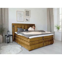 Boxspringbett OTTO HOME "MIVVA inkl. Bettkasten & Topper, Komfortliegeh&ouml;he: 67 cm", gold, B:204cm L:215cm, Holz teilmassiv, Holzwerkstoff, Spanplatte, Komplettbetten, Boxspringbett, in H3, H4 oder Hmix H3/H4, wahlweise mit oder ohne LED-Leuchten