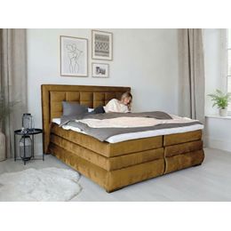 Boxspringbett OTTO HOME "MIVVA inkl. Bettkasten & Topper, Komfortliegeh&ouml;he: 67 cm", gold, B:204cm L:215cm, Holz teilmassiv, Holzwerkstoff, Spanplatte, Komplettbetten, Boxspringbett, in H3, H4 oder Hmix H3/H4, wahlweise mit oder ohne LED-Leuchten