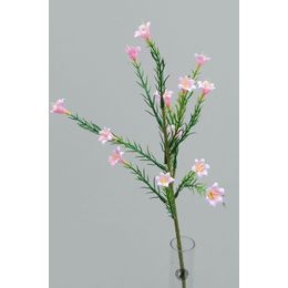 SONSTIGE Kunstblume WACHSBLUME