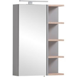 Spiegelschrank Welltime "Lugo, Breite 49 cm", grau (platingrau), B:49,7cm T:16cm, FSC-zertifizierter Holzwerkstoff, Schr&auml;nke, Spiegelschrank, Mit LED-Beleuchtung, Regal beidseitig montierbar