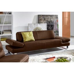 2-Sitzer W.Schillig "taboo Designsofa mit hohem Sitzkomfort", braun (tabacco z69), B:202cm H:76cm T:91cm, Flachgewebe S22 (100% Polyester);Stoff S37 (100% Polyester): Luxus-Microfaser in Lederoptik;Longlife Xtra-Leder Z59: Glattleder mit modischer Pr&auml;gung. Hautst&auml;rke 0, 9 - 1, 1 mm;Longlife Xtra-Leder Z69: Das feinnarbige, gedeckte Softleder Z69 besticht durch seine au&szlig;ergew&ouml;hnliche Weichheit im t
