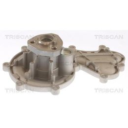 TRISCAN Wasserpumpe 860029096 f&uuml;r Porsche