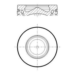 Mahle Kolben 081pi00119002