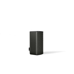 Bose ArenaMatch AMU108-120 120x60, OUTDOOR LDSPK BLK - schwarz