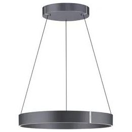 NEUHAUS PURE LED Pendelleuchte "PURE E-Clipse", mystic grau, 2, &Oslash; 70cm H: 40cm, 1 Stk., Leuchten, e-LIFT-Funktion, CCT, dimmbar &uuml;ber Fernbed&iacute;enung, LED Pendelleuchte