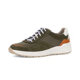 Sneaker Gabor "Sneaker low", Herren, Gr. 41, gr&uuml;n, Schuhe Sneaker