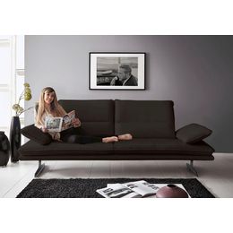 2,5-Sitzer W.Schillig "broadway Designsofa mit hohem Sitzkomfort", braun (braun z59), B:236cm H:94cm T:96cm, Longlife Xtra-Leder Z59: Glattleder mit modischer Pr&auml;gung. Hautst&auml;rke 0, 9 - 1, 1 mm, Sofas, Sitztiefenverstellung, Kopfteil- & Seitenteilverstellung, Breite 236cm