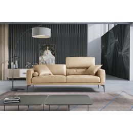 2,5-Sitzer Egoitaliano "Masu, Designsofa mit erstklassigem Sitzkomfort, Breite 218cm", beige (champagner), B:218cm H:95cm T:97cm, Leder &raquo;BULL&laquo; (echtes Rindsleder). Geschliffenes, pigmentiertes und behandeltes Rindsleder mit einer Dicke von 1, 3-1, 5 mm. Dieses Leder zeigt eine ziemlich weiche Hand mit einem halb undurchsichtigen Aussehen. Es handelt sich um ein gesch&uuml;tztes Leder. Eine leichte Deck
