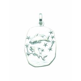 Adelia&acute;s Sternzeichenanh&auml;nger ADELIA&acute;S "Sternzeichen Anh&auml;nger Fische 925 Silber &ndash; Silberanh&auml;nger Fische", silber, Schmuckanh&auml;nger, Damen, Fische, Silber 925 (Sterlingsilber), Silberanh&auml;nger Fische