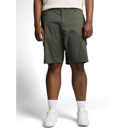 Cargohose Tom Tailor PLUS, Herren, Gr. 48, N-Gr, khaki mini geometric print, Web, Obermaterial: 98% Baumwolle, 2% Elasthan, unifarben, normal kurz, Hosen Cargohose, Cargo-Shorts mit Stretch