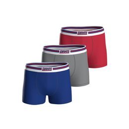 Boxershorts NFL "Boxershort NFL 3pk Boxers 3er Pack", Damen, Gr. L, new york giants, Obermaterial: 95% Baumwolle CO. 5% Elasthan EL., Unterhosen