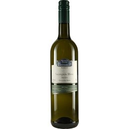Weingut Bremm Sauvignon Blanc 2025 Trocken - Mosel &ndash; Wei&szlig;wein Deutscher Wein