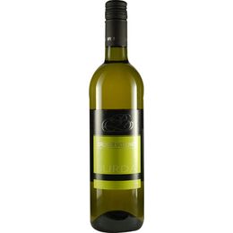 Burda Weine Gols Gr&uuml;ner Veltliner 2024 Trocken - Burgenland &ndash; Wei&szlig;wein Qualit&auml;tswein