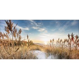 Pro Art Aludibondbild WILDERSTRAND