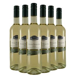 Weingut Bremm Paket Wei&szlig;burgunder 2023 Feinherb - Mosel &ndash; Probierpaket Qualit&auml;tswein