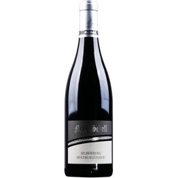 Weingut Max Schell Sp&auml;tburgunder 2023 Trocken - Ahrweiler Silberberg Ahr &ndash; Rotwein Qualit&auml;tswein