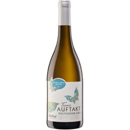 Weingut Abthof Auftakt Fum&eacute; Souvignier Gris 2024 Trocken - Rheinhessen &ndash; Wei&szlig;wein Qualit&auml;tswein