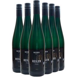 Weingut Meurer -Paket Riesling 2023 Feinherb - Mosel &ndash; Probierpaket Qualit&auml;tswein