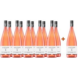 Weingut Anton 11+1 Portugieser Ros&eacute; Wei&szlig;herbst Sp&auml;tburgunder 2024 Feinherb - Pfalz &ndash; Probierpaket Qualit&auml;tswein