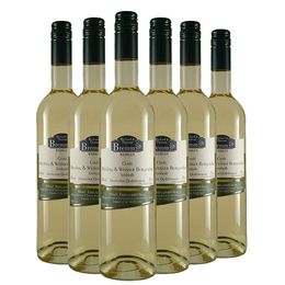 Weingut Bremm Riesling & Wei&szlig;er Burgunder Cuve&eacute;-Paket Cuv&eacute;e 2025 Feinherb - Mosel &ndash; Probierpaket Qualit&auml;tswein