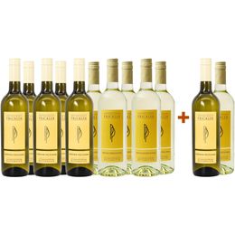 Rotweingut Prickler Fr&uuml;hlings-Genuss-Paket Trocken - Burgenland &ndash; Probierpaket Qualit&auml;tswein