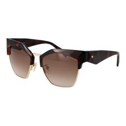 Police Sonnenbrille SPLN59 01AY 56
