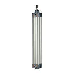 Riegler Normzylinder, doppeltwirkend, Magnet, Kolben-&Atilde;&tilde; 63, Hub 125, G 3/8 (5.DMD.63125)