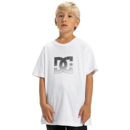 T-Shirt DC Shoes "DC Star Reflective", Jungen, Gr. 14(155-164cm), wei&szlig;, Obermaterial: 75% Walkfrottier, 25% Walkfrottier;, Shirts T-Shirt