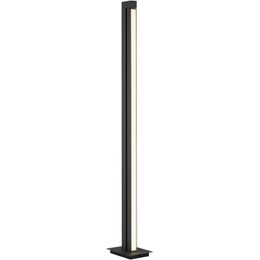 NEUHAUS PURE LED Stehlampe "PURE Lines Floor", graphite, 1, H: 140cm, 1 Stk., Leuchten, CCT Farbsteuerung, dimmbar &uuml;ber Fernbedienung, Fu&szlig;schalter, LED Stehlampe