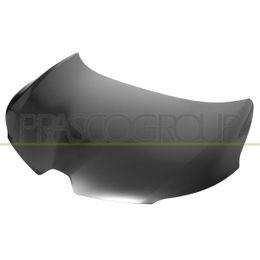 PRASCO Motorhaube rn7503100 f&uuml;r RENAULT
