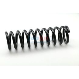 JAPKO Fahrwerksfeder zcj5342d Hinterachse