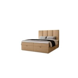 H&ouml;ffner Boxbett mit Stauraum Macclesfield beige Ma&szlig;e (cm): B: 201 H: 110 &raquo; H&ouml;ffner