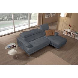 Ecksofa Egoitaliano "Soul, Design und Sitzkomfort auf hohem Niveau, tolle Details, L-Form", grau (charcoal), B:250cm H:99cm T:166cm, Sofas, Ecksofa, mit Recamiere, inkl. Kopfteilverstellung