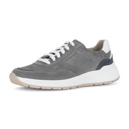 Sneaker Pius Gabor, Herren, Gr. 9,5 (44), grau kombiniert, Nappaleder, Veloursleder, Schuhe Sneaker, Freizeitschuh, Halbschuh, Schn&uuml;rschuh mit Kontrastbes&auml;tzen, G-Weite