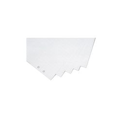 MAGNETOPLAN Flipchart-Papier, Format 650 x 930 mm, gerollt, VE 5 Bl&ouml;cke &agrave; 20 Blatt
