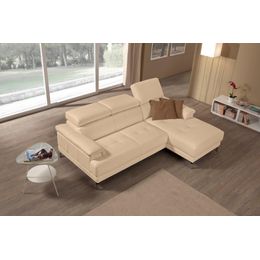 Ecksofa Egoitaliano "Soul, Design und Sitzkomfort auf hohem Niveau, tolle Details, L-Form", beige (champagner), B:250cm H:99cm T:166cm, Leder &raquo;BULL&laquo; (echtes Rindsleder). Geschliffenes, pigmentiertes und behandeltes Rindsleder mit einer Dicke von 1, 3-1, 5 mm. Dieses Leder zeigt eine ziemlich weiche Hand mit einem halb undurchsichtigen Aussehen. Es handelt sich um ein gesch&uuml;tztes Leder. Eine leicht
