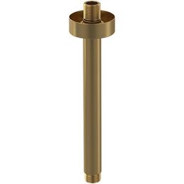 Villeroy & Boch Villeroy & Boch Universal Showers Brausearm TVC00045352076 rund, Deckenmontage, brushed gold