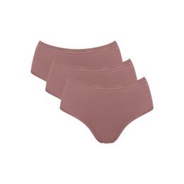 Slip Sloggi "Slip GO Daily Cotton Midi 3P 3er Pack", Damen, Gr. XL, braun, Obermaterial: 95% Baumwolle CO. 5% Elasthan EL., Unterhosen Slip