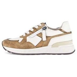 Sneaker Gabor "Sneaker low", Herren, Gr. 38,5, beige, Schuhe Sneaker