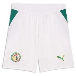 Sporthose Puma "Senegal Shorts Herren", Herren, Gr. L, Normalgr&ouml;&szlig;en, wei&szlig; archive gr&uuml;n, Obermaterial: 100% Polyester. Besatz: 12% Elasthan, 88% Polyester. Einsatz: 100% Polyester, regular fit, Hosen Sporthose