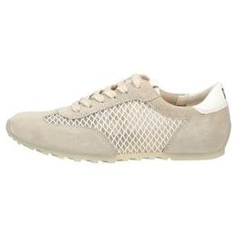 Schn&uuml;rschuh Paul Green "Paul Green Sneaker Veloursleder/Textil", Damen, Gr. 37,5, beige, Textil, Veloursleder, Schuhe Schn&uuml;rschuh