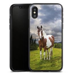 DeinDesign iPhone X Handy Silikon H&uuml;lle Case schwarz Handyh&uuml;lle Horse Nature Meadow
