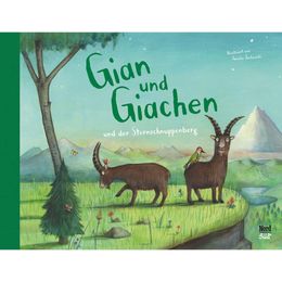 Gian und Giachen und der Sternschnuppenberg