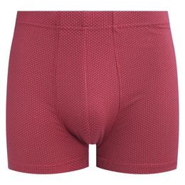 VanVaan Herren Retroshorts mit Minimal-Print