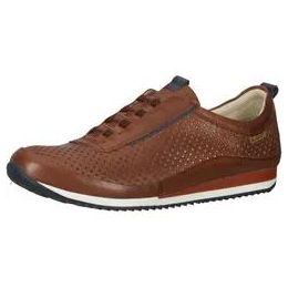 Sneaker Pikolinos "Pikolinos Sneaker Leder", Herren, Gr. 42, braun, Leder, Schuhe Sneaker